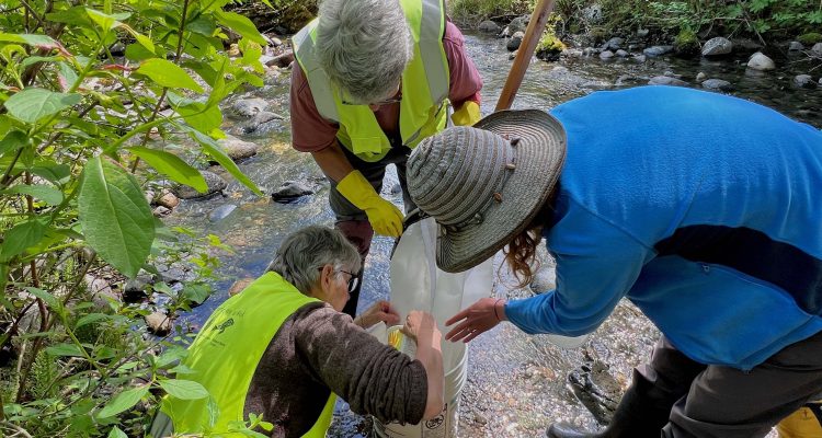 Benthic Invertebrate Surveying Launched – Beaufort Watershed Stewards